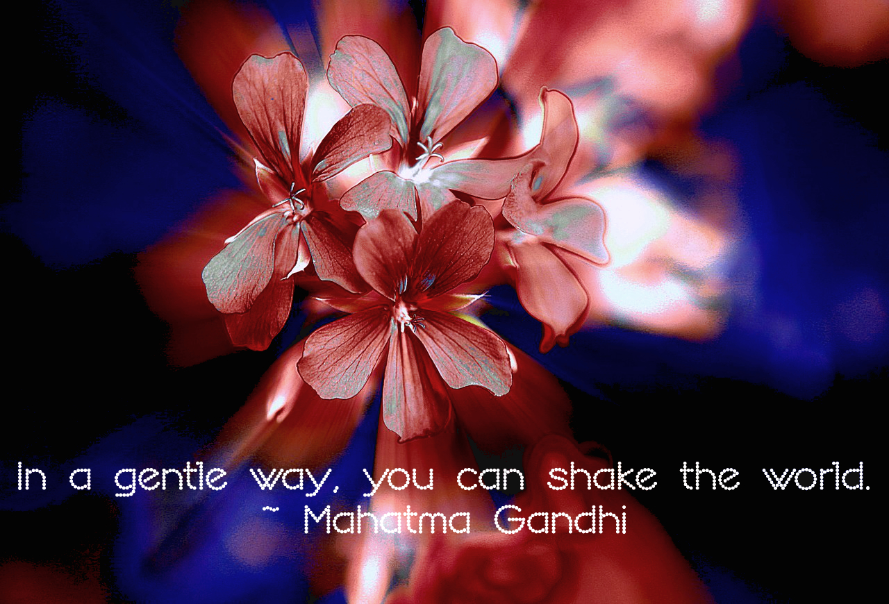 Gently Shake The World