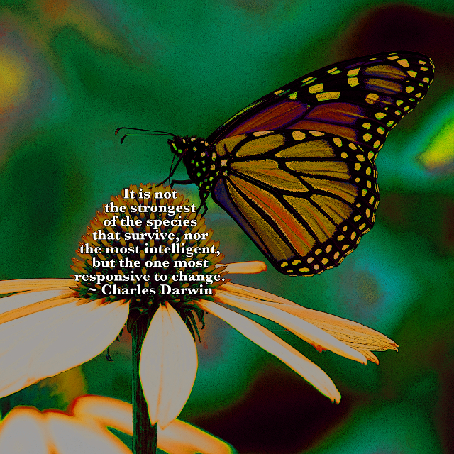 Most Responsive To Change