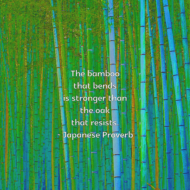 The Bamboo That Bends