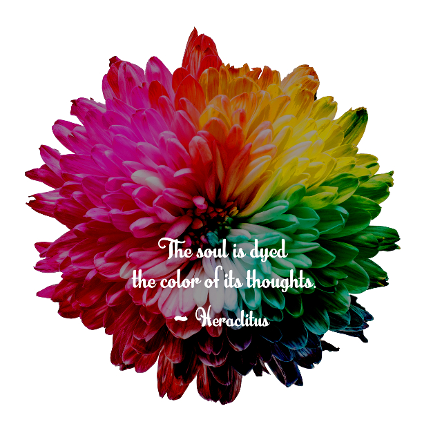 The Color Of Its Thoughts | Emily Romrell