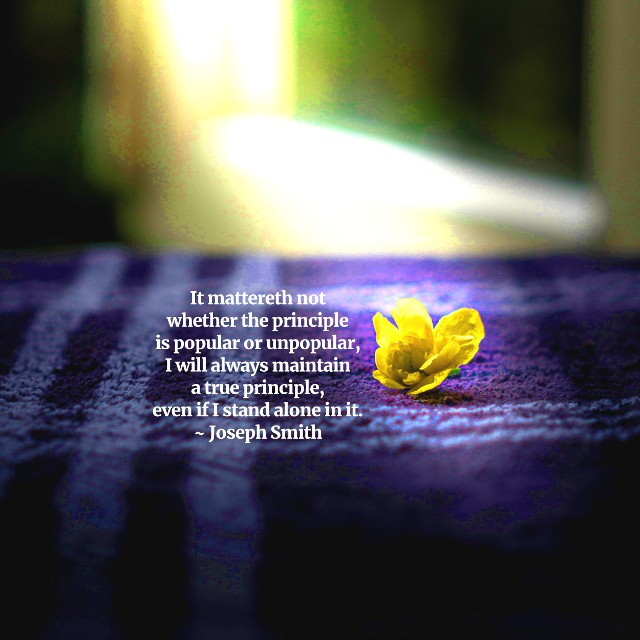 Always Maintain A True Principle | Emily Romrell