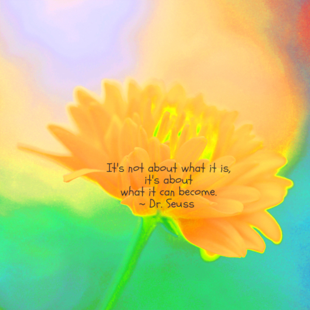 What It Can Become | Emily Romrell