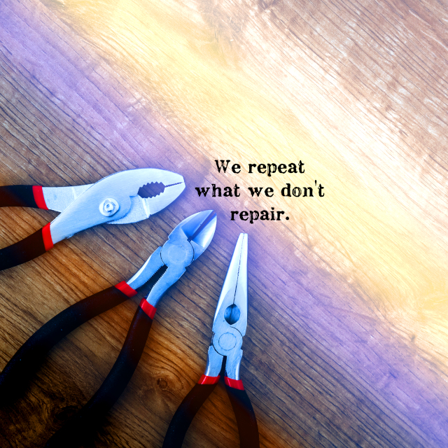 What We Don’t Repair | Emily Romrell