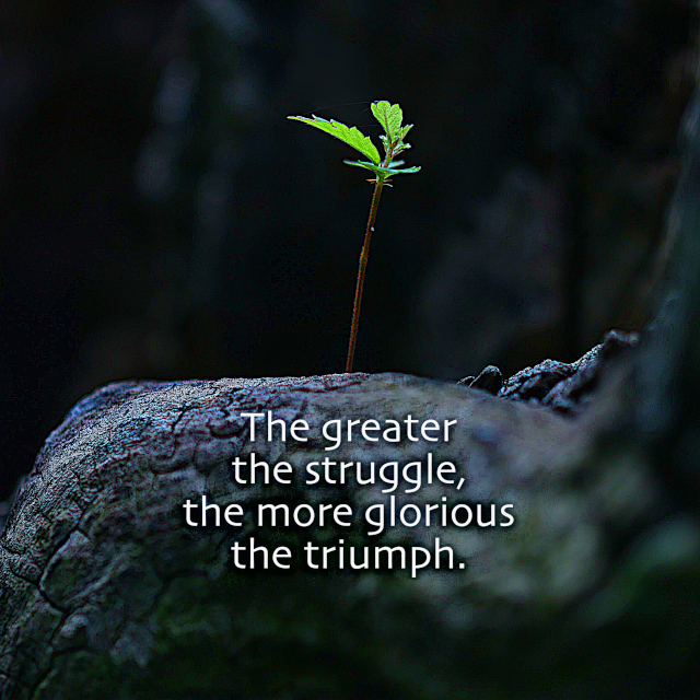 The Greater The Struggle | Emily Romrell