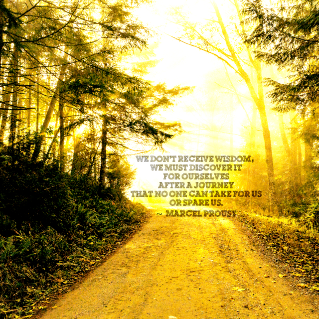 We Don’t Receive Wisdom | Emily Romrell