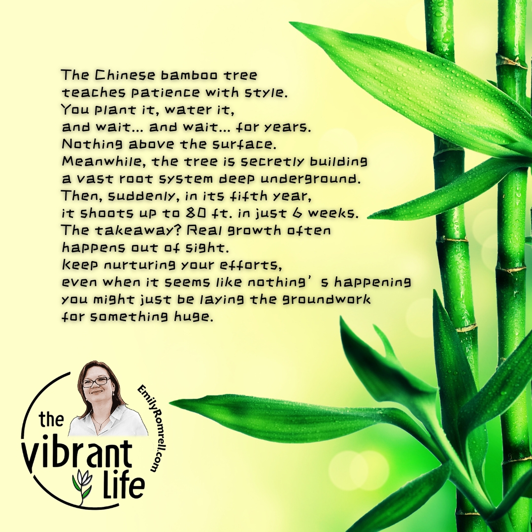 The Chinese Bamboo Tree